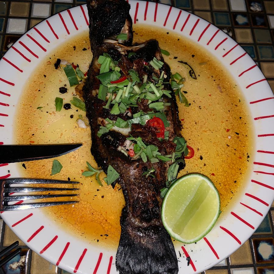 Baby Barramundi, Firebird, Windsor, Victoria 3181 - KRAVEiN